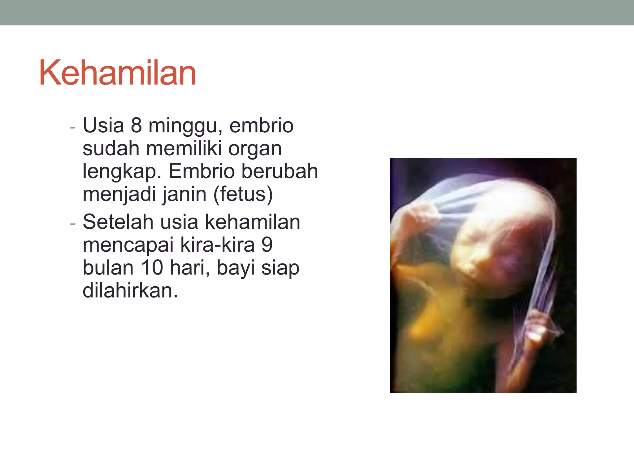Anatomi fisiologi.pptx