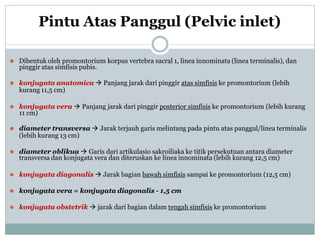 anatomi fisiologi .pptx
