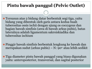 anatomi fisiologi .pptx