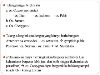 anatomi fisiologi .pptx