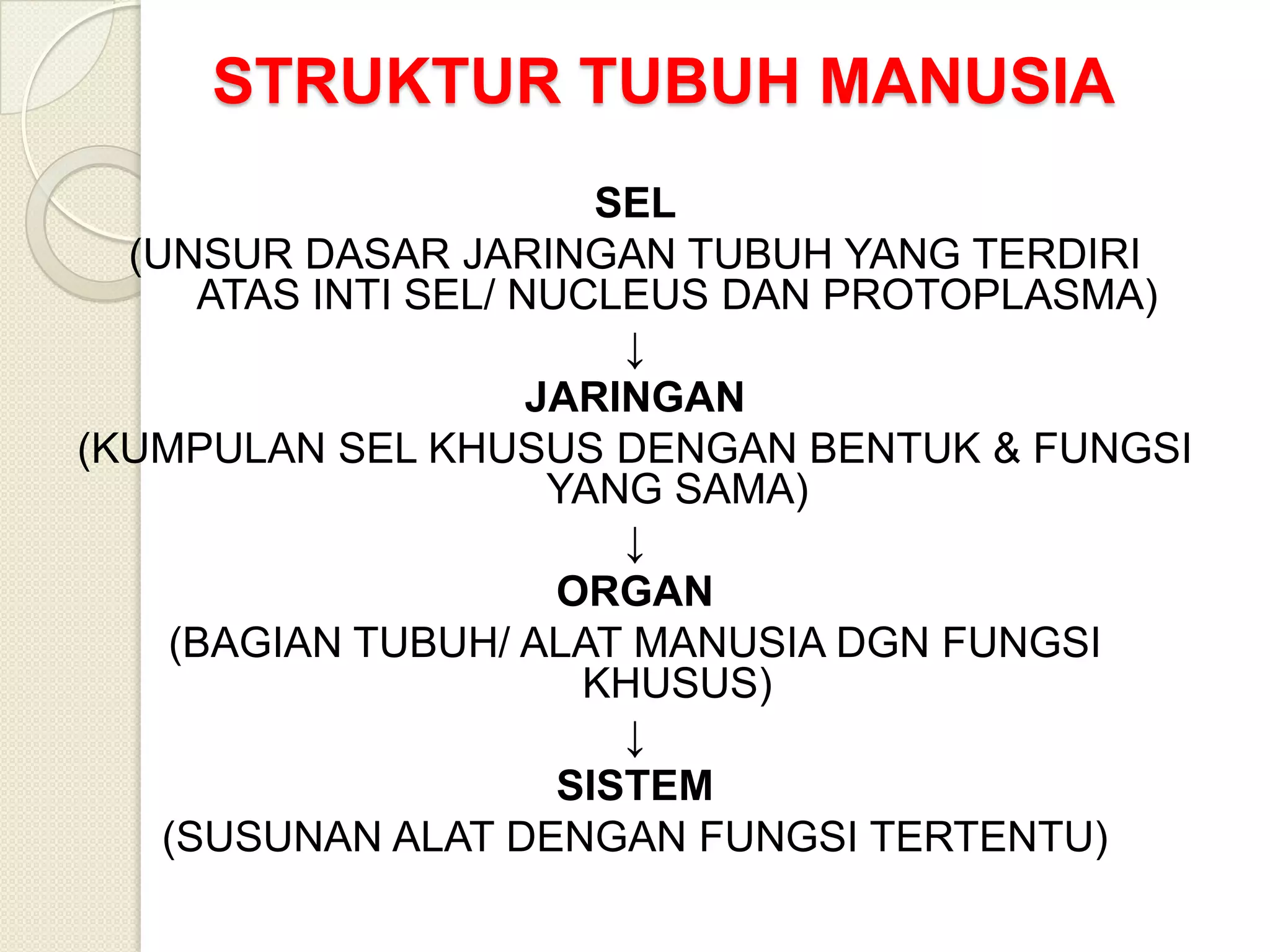 Anatomi fisiologi 1 | PPTX