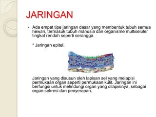 Anatomi fisiologi 1 | PPTX