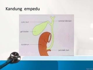 Anatomi fisiologi 2 | PPT