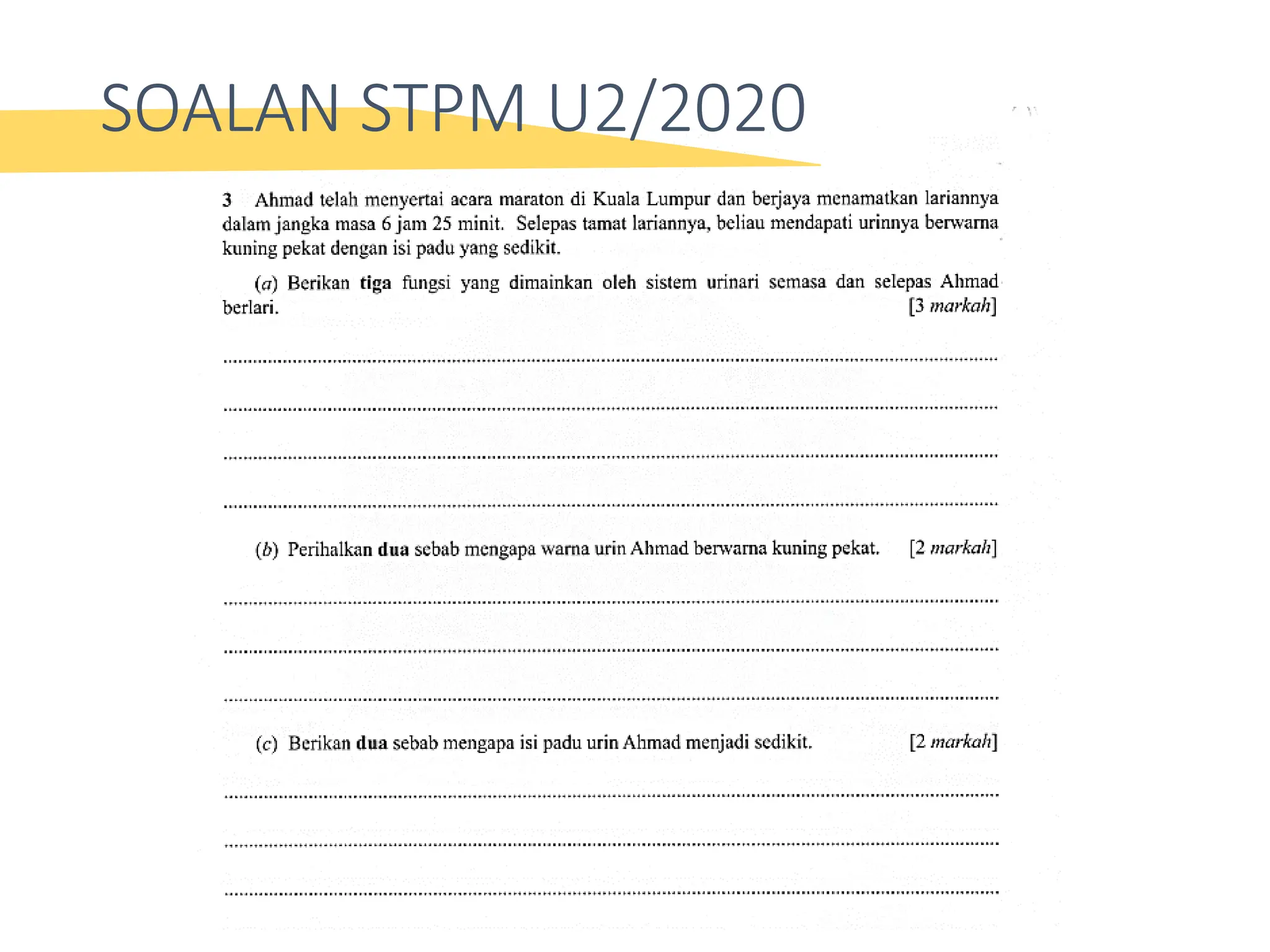 anatomi fisiologi 6.8 (Sistem Urinari).pptx