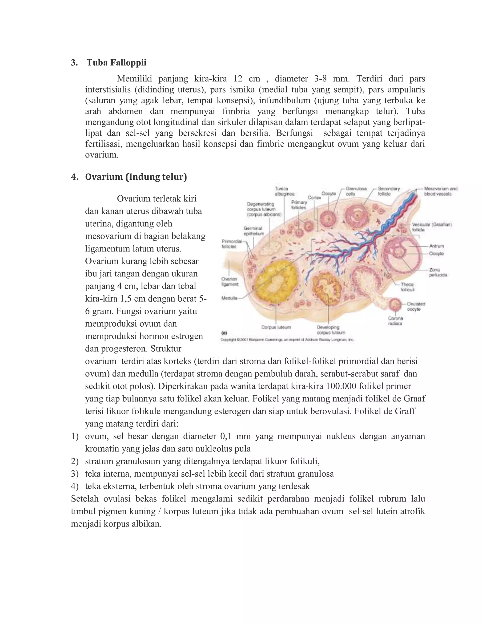 Anatomi fisiologi alat kandungan | DOCX