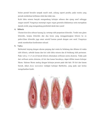 Anatomi fisiologi alat kandungan | DOCX