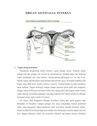 Anatomi fisiologi alat kandungan | DOCX