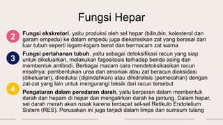 ANATOMI FISIOLOGI_ANATOMI HEPAR KANDUNG EMPEDU.pptx