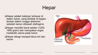 ANATOMI FISIOLOGI_ANATOMI HEPAR KANDUNG EMPEDU.pptx