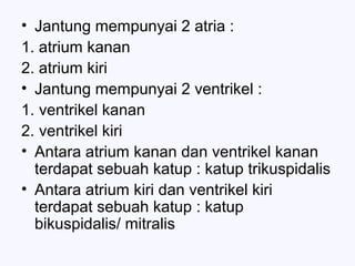 Anatomi fisiologi cardiovaskuler | PPT