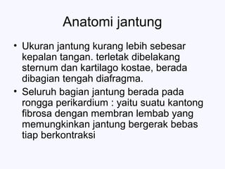 Anatomi fisiologi cardiovaskuler | PPT