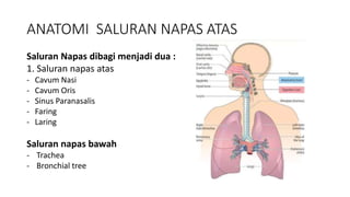 ANATOMI, FISIOLOGI, DAN KELAINAN PADA SISTEM NAPAS ATAS.pptx