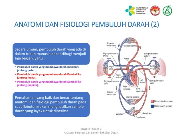 Anatomi Fisiologi dan Sistem Sirkulasi.pdf