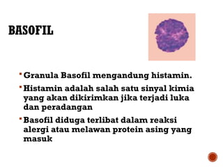Anatomi Fisiologi DARAH.pptx daraaahhhhhh | PPTX