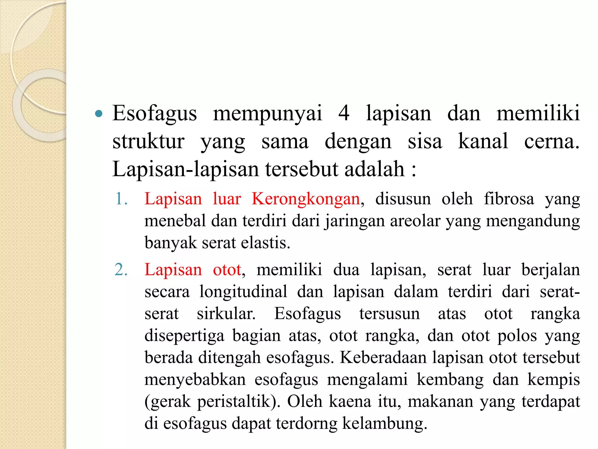 Anatomi fisiologi faring dan esofagus | PPTX