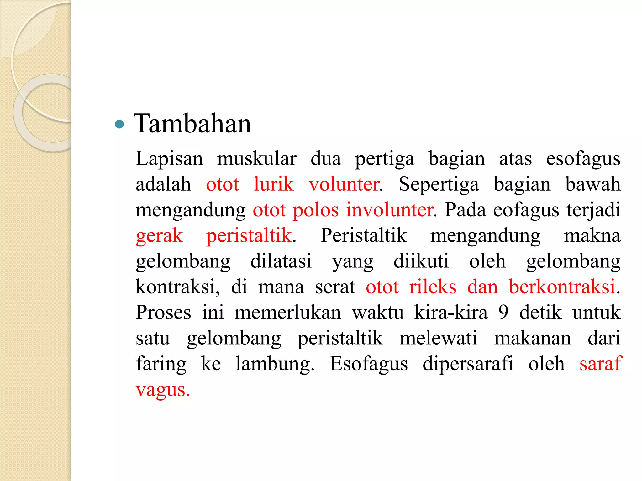 Anatomi fisiologi faring dan esofagus | PPTX