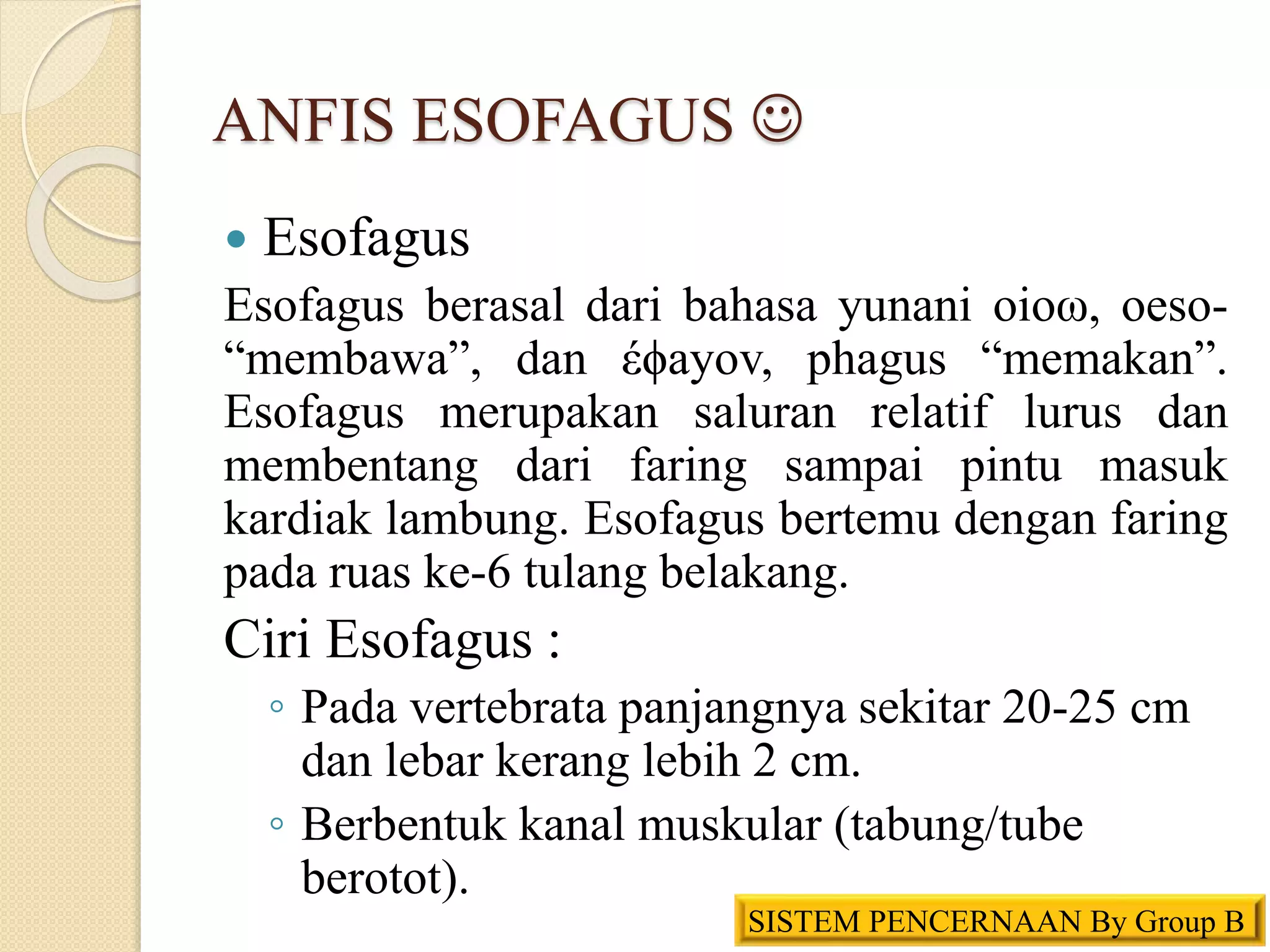 Anatomi fisiologi faring dan esofagus | PPTX
