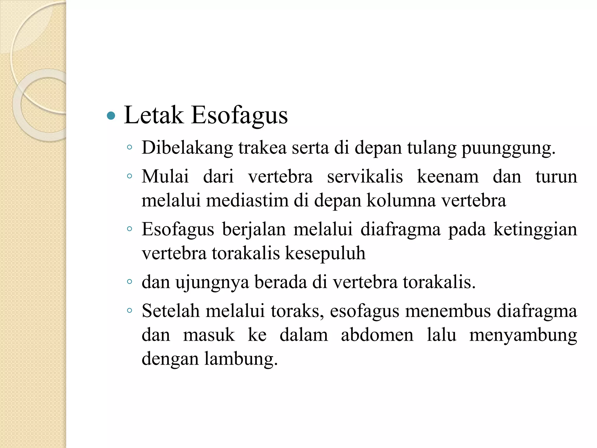 Anatomi fisiologi faring dan esofagus | PPTX