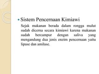 Anatomi fisiologi faring dan esofagus | PPTX