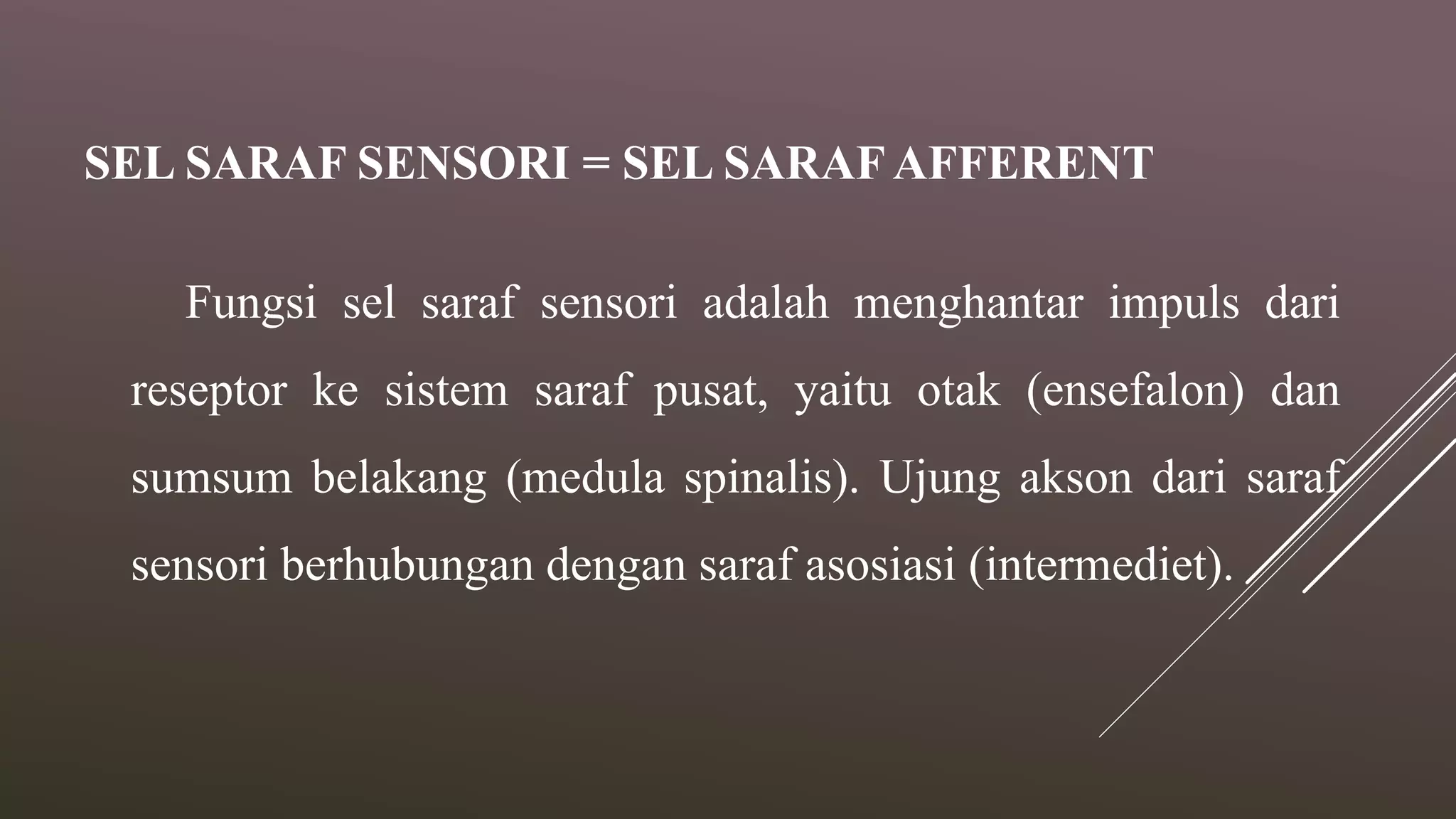 Anatomi fisiologi sistem saraf | PPTX