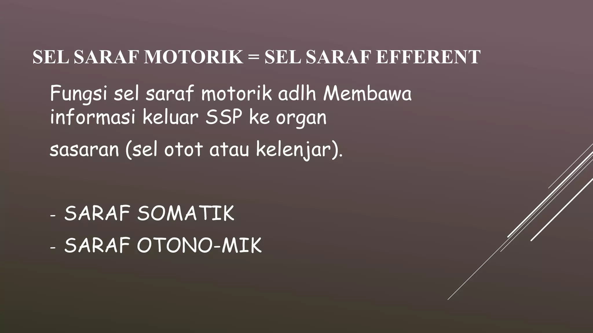 Anatomi fisiologi sistem saraf | PPTX