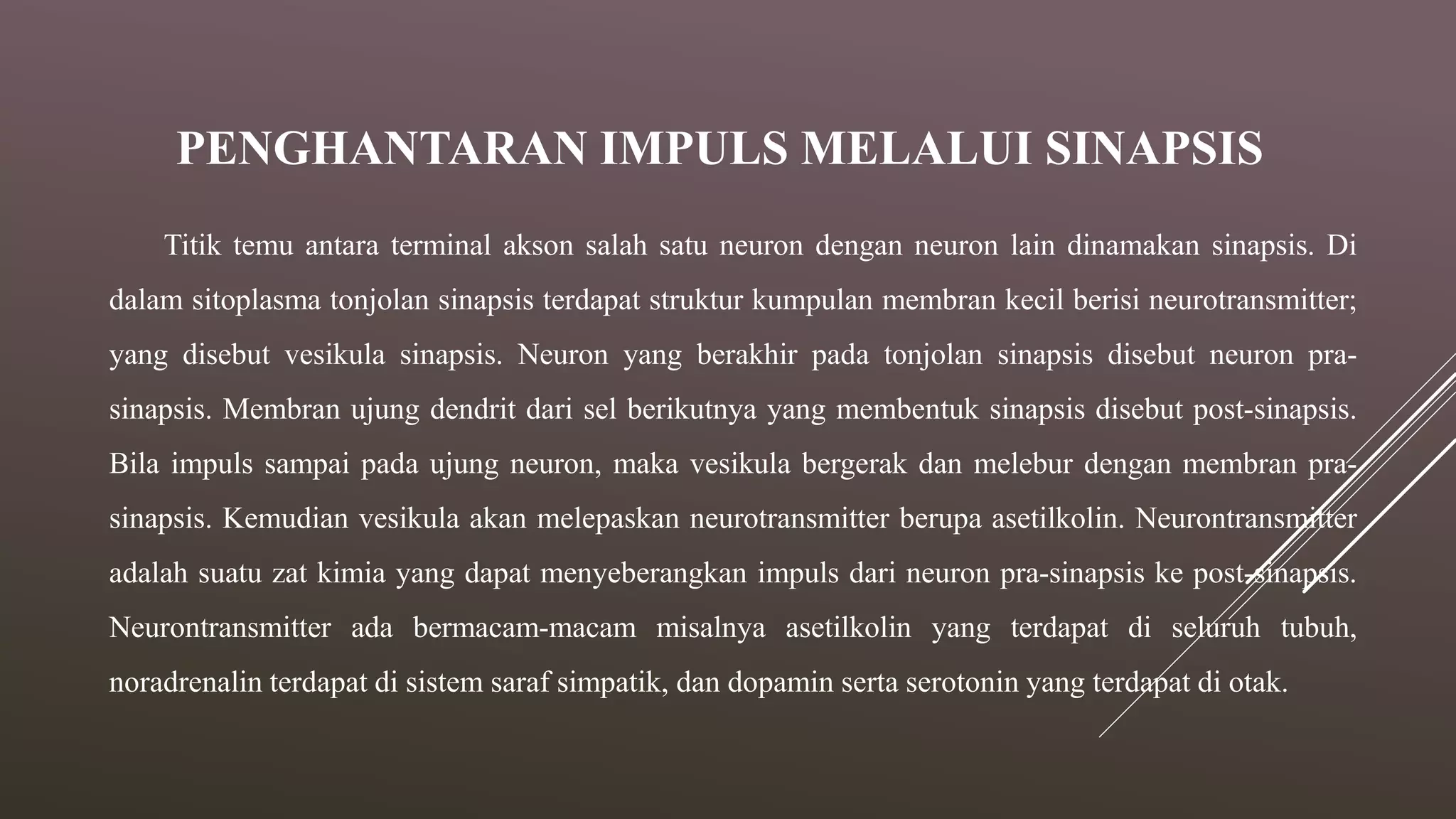 Anatomi fisiologi sistem saraf | PPTX