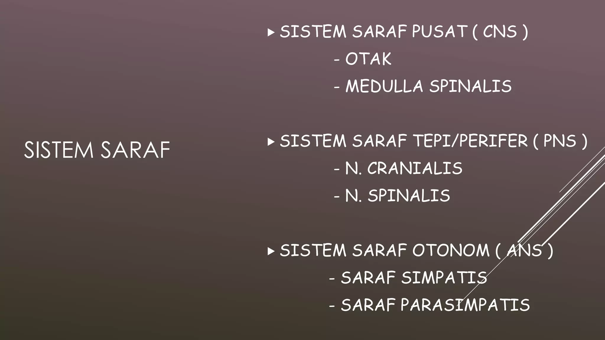 Anatomi fisiologi sistem saraf | PPTX