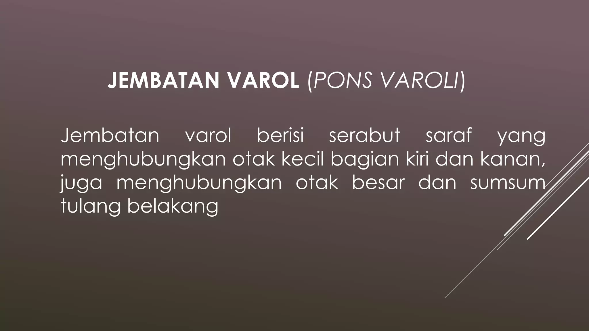 Anatomi fisiologi sistem saraf | PPTX