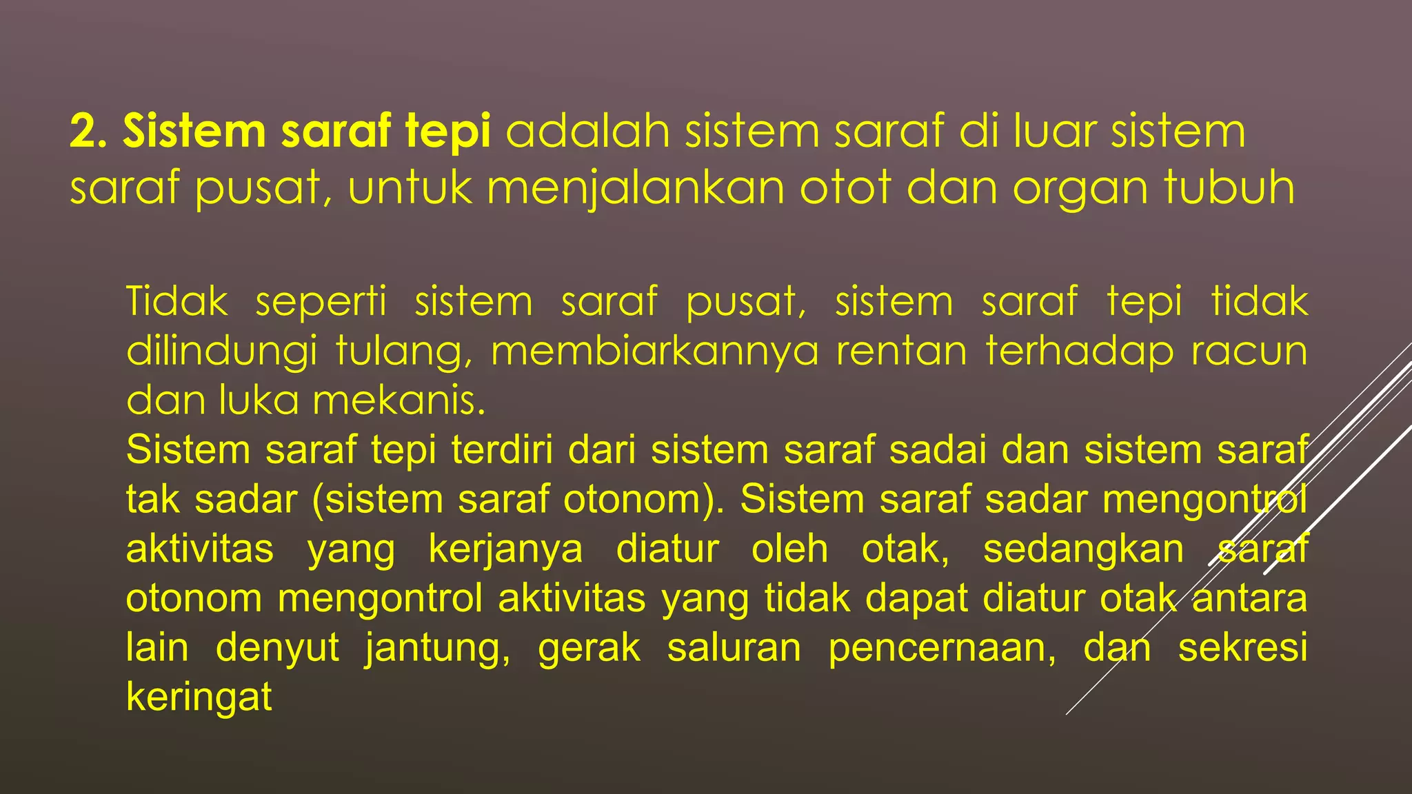 Anatomi fisiologi sistem saraf | PPTX