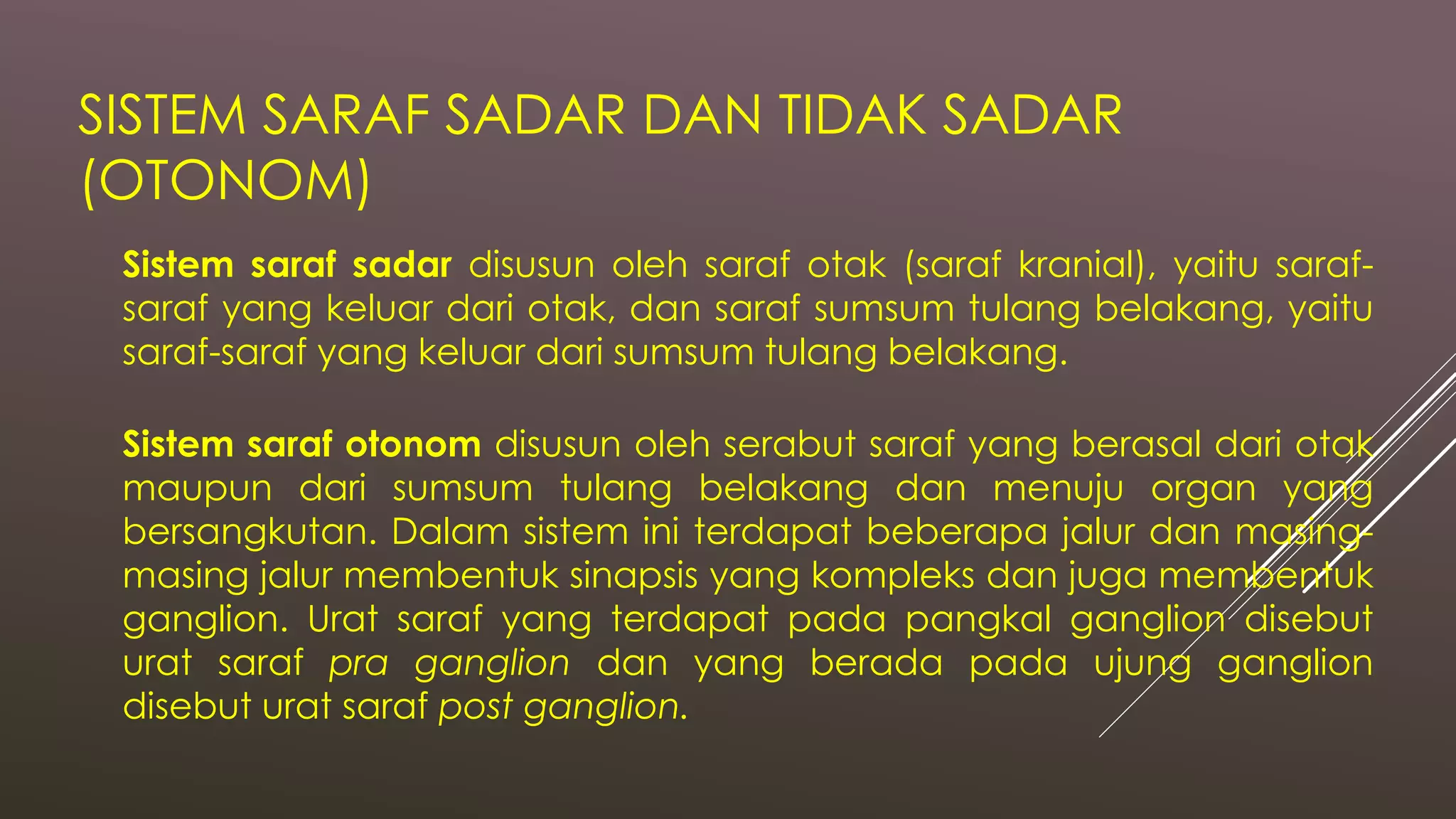 Anatomi fisiologi sistem saraf | PPTX