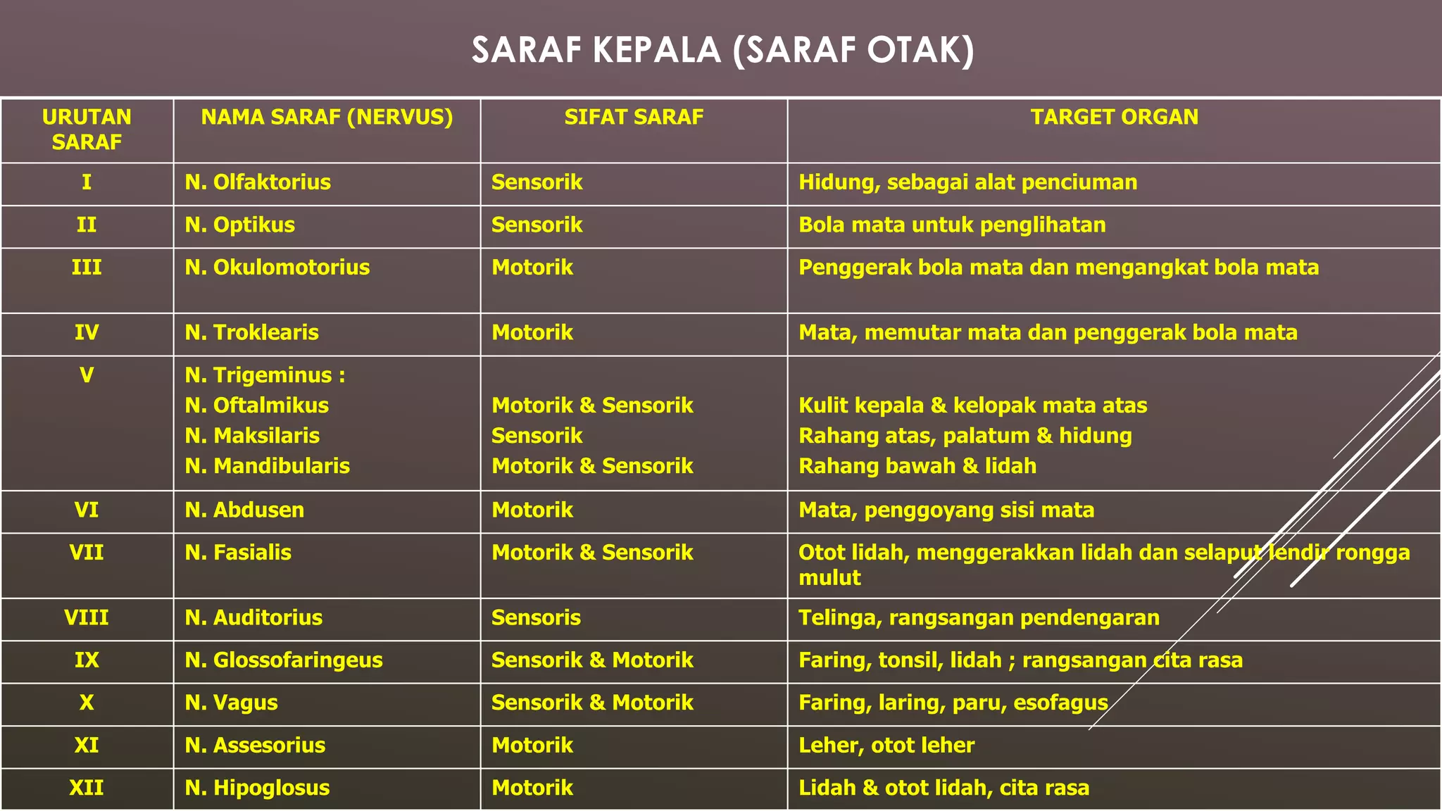 Anatomi fisiologi sistem saraf | PPTX