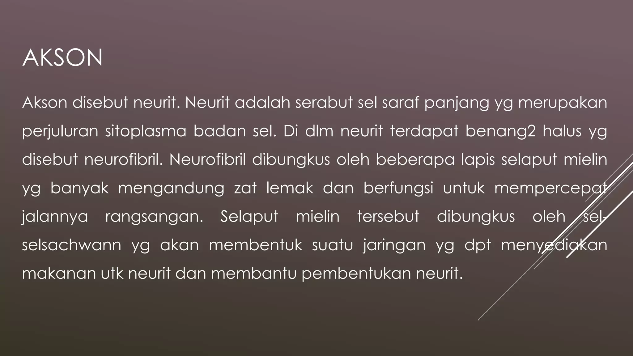 Anatomi fisiologi sistem saraf | PPTX