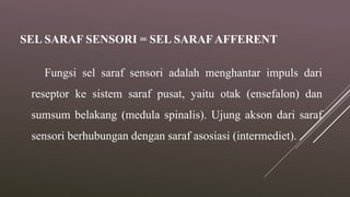 Anatomi fisiologi sistem saraf | PPTX