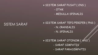 Anatomi fisiologi sistem saraf | PPTX