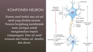 Anatomi fisiologi sistem saraf | PPTX