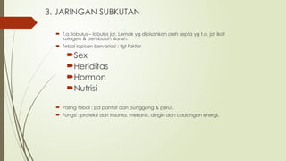 Materi anatomi dan fisiologi sistem integumentum | PPTX