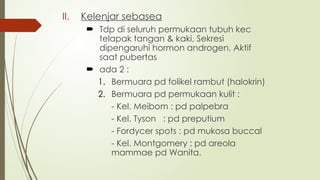 Materi anatomi dan fisiologi sistem integumentum | PPTX