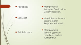 Materi anatomi dan fisiologi sistem integumentum | PPTX