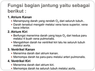 Anatomi fisiologi jantung | PPTX