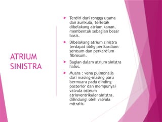 ANATOMI FISIOLOGI JANTUNG DAN PEMBULUH DARAH.pptx