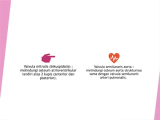 ANATOMI FISIOLOGI JANTUNG DAN PEMBULUH DARAH.pptx