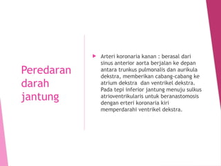 ANATOMI FISIOLOGI JANTUNG DAN PEMBULUH DARAH.pptx