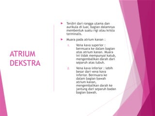 ANATOMI FISIOLOGI JANTUNG DAN PEMBULUH DARAH.pptx