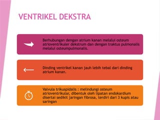 ANATOMI FISIOLOGI JANTUNG DAN PEMBULUH DARAH.pptx