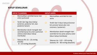 ANATOMI FISIOLOGI JANTUNG- Mida&devid.pptx