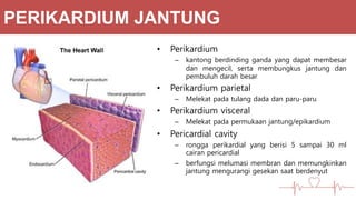 Anatomi dan Fisiologi Jantung Keperawatan Medikal Bedah | PDF