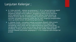 Anatomi fisiologi kebidanan | PPTX