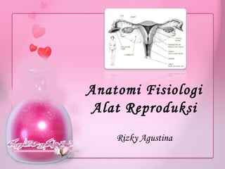 Anatomi fisiologi organ Reproduksi | PPT