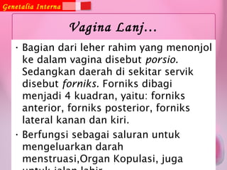 Anatomi fisiologi organ Reproduksi | PPT