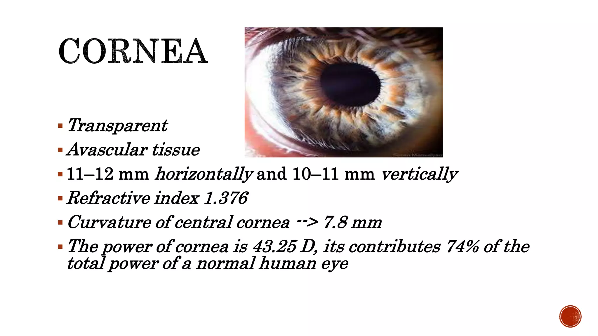 Anatomi fisiologi kornea | PPT